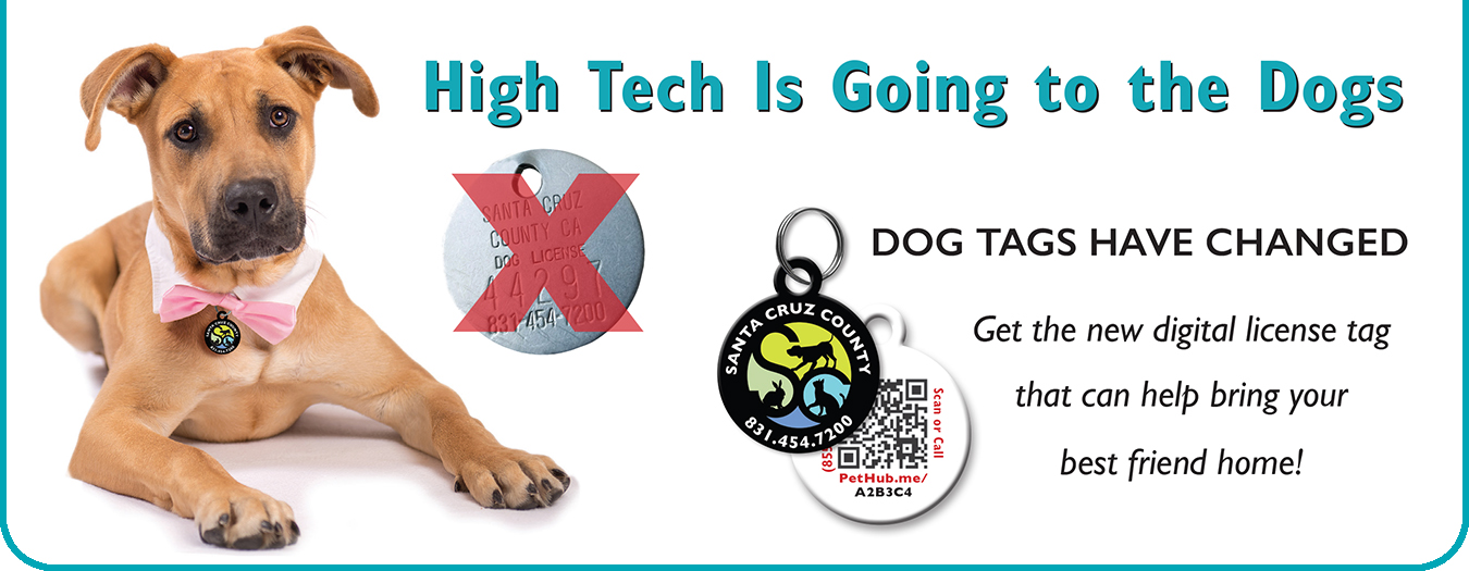 Santa Cruz County Animal Shelter – Helping Santa Cruz County animals in ...