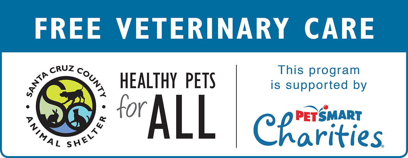Santa Cruz County Animal Shelter – Helping Santa Cruz County animals in ...