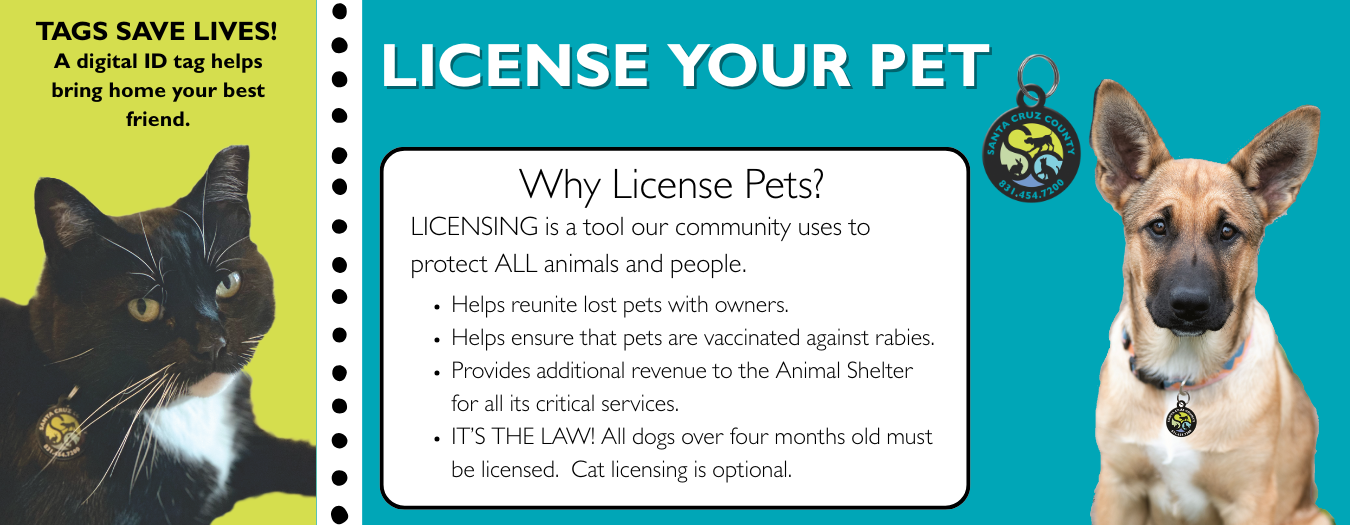 Santa Cruz County Animal Shelter – Helping Santa Cruz County animals in ...